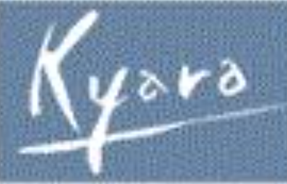 Kyara Fabric的商品 经营欧根纱、雪纺、网纱、蕾丝的东京下町面料制造商-ApparelX |服装面料辅料B2B